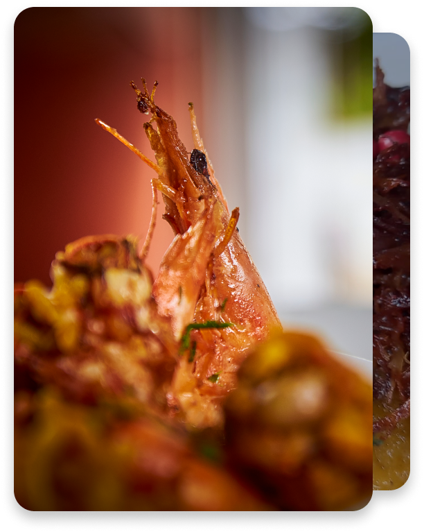 Le Menu – Haka Fy Authentic Restaurant